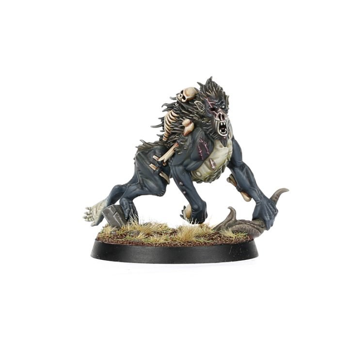 Royal Beastflayers Warcry Warband – Guide, Tactics & Overview